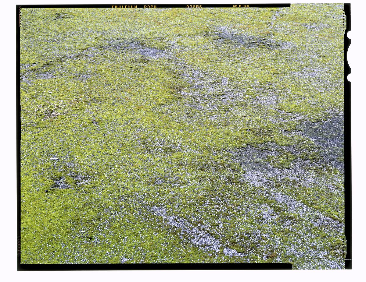 Christian Mosar - Arendt