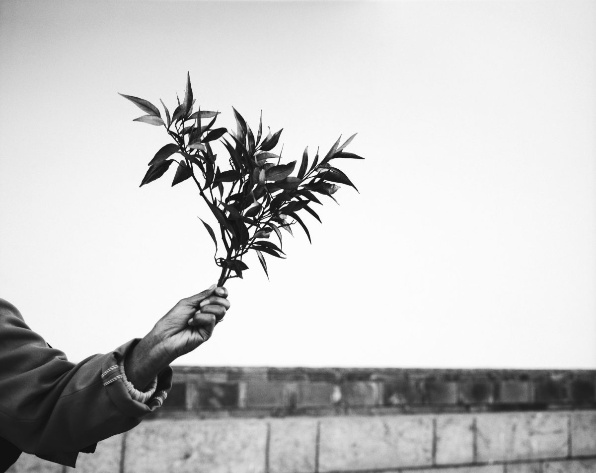 Emily Bates - Arendt